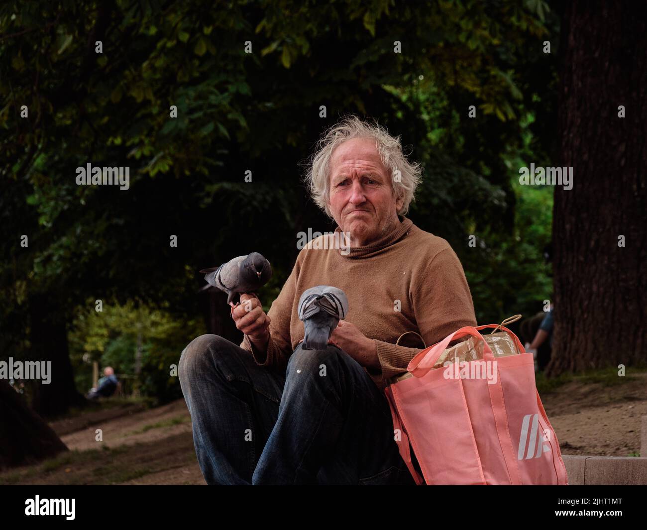 An Old homeless man with pigeons in Prague Stock Photo - Alamy
