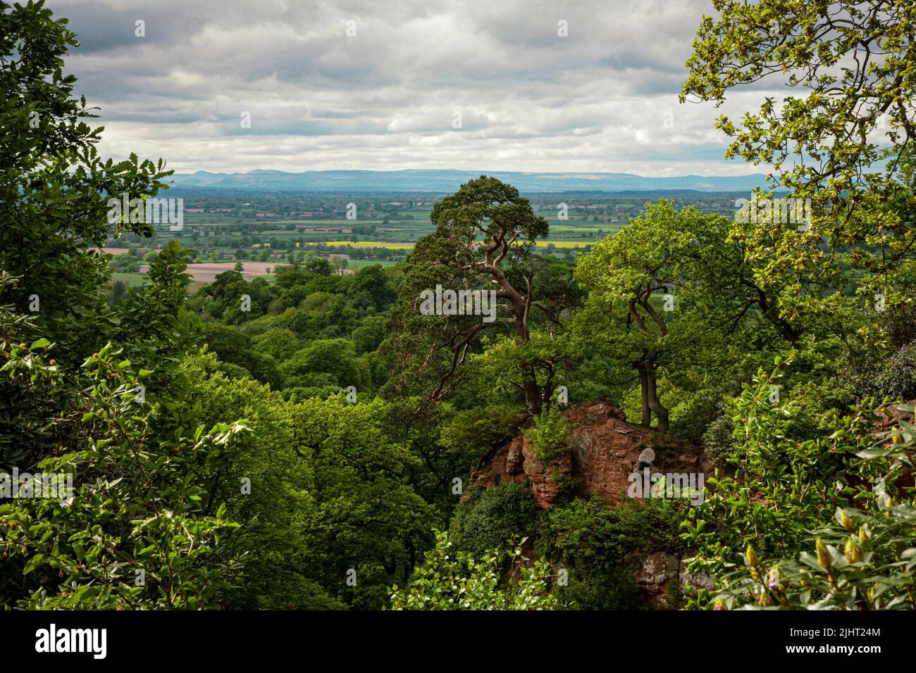 Nature in and around Birmingham in the UK Stock Photo - Alamy