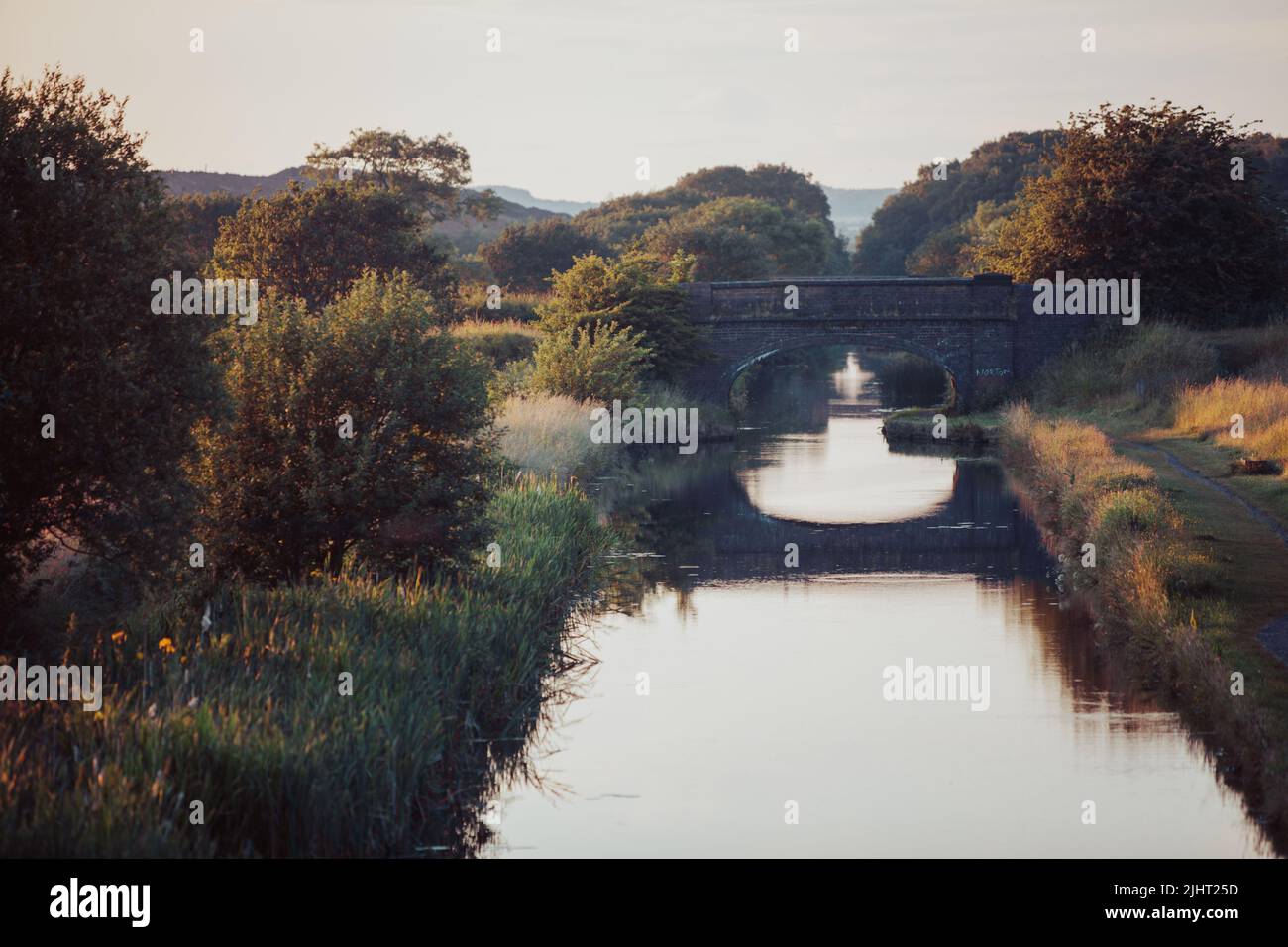 Nature in and around Birmingham in the UK Stock Photo - Alamy