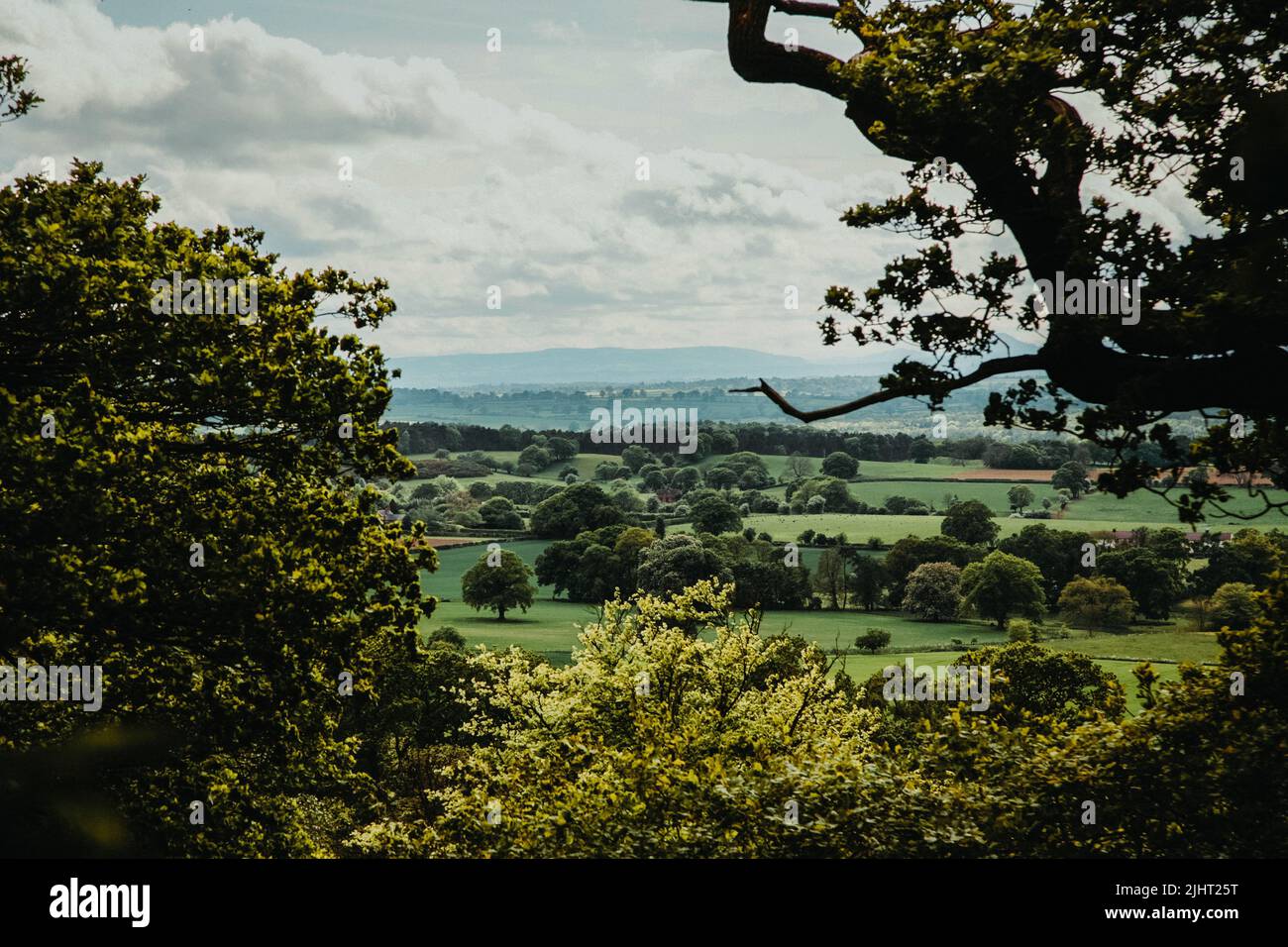 Nature in and around Birmingham in the UK Stock Photo - Alamy