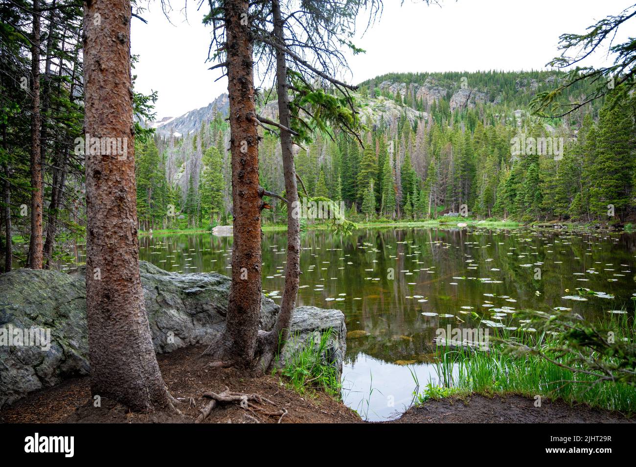 High definition landscape photos from Colorado in the summertime Stock ...