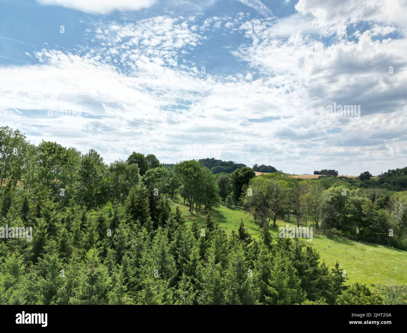 An aerial view of a forest in daylight Stock Photo - Alamy