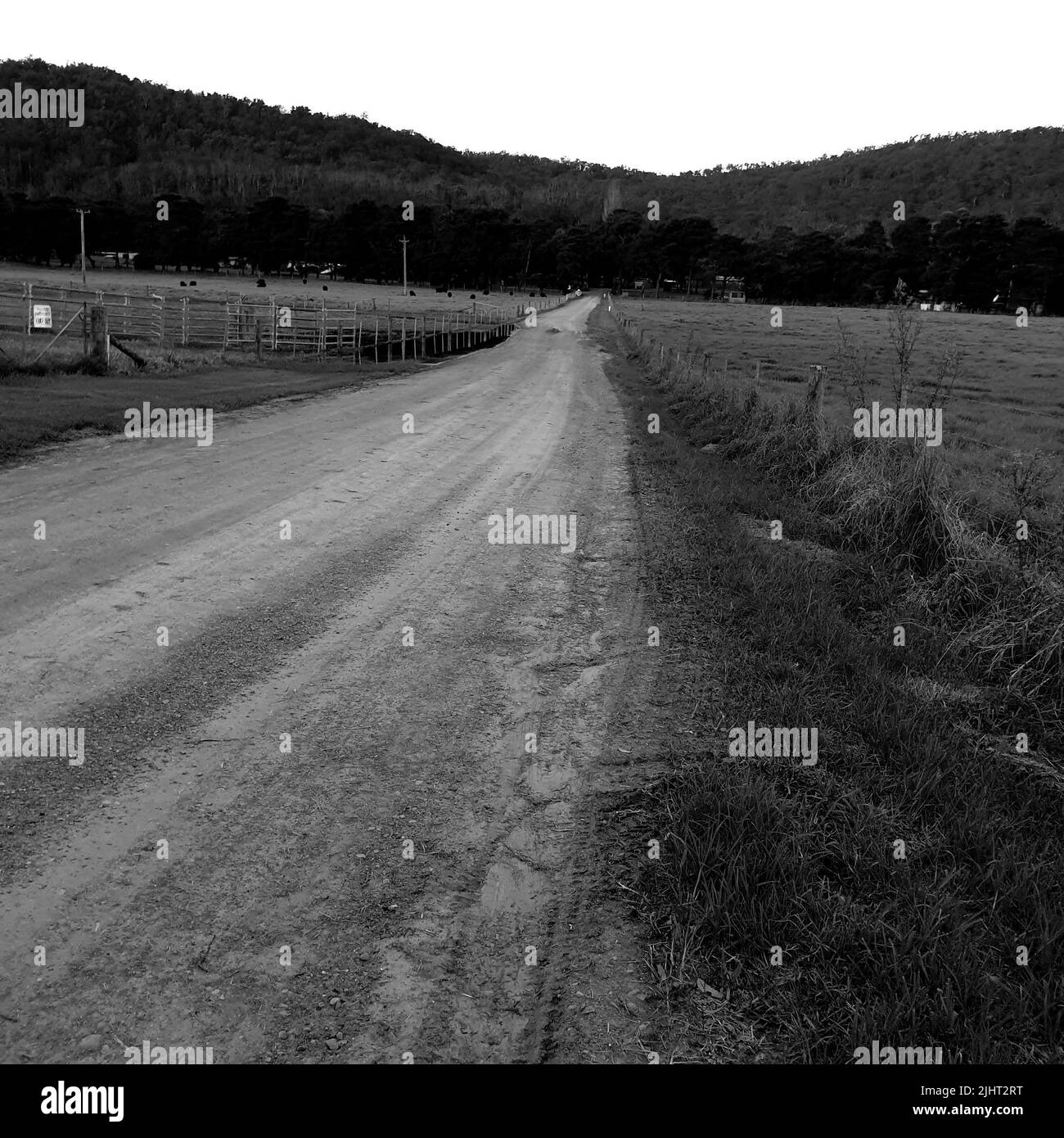 An empty sand road surrounded by fields and trees Stock Photo - Alamy