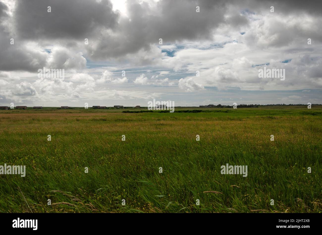 Crop denmark field landscape hi-res stock photography and images - Alamy