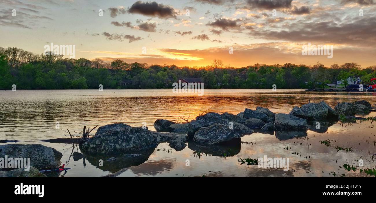 An aerial view of lake surrounded by growing lush green trees in Griggs ...