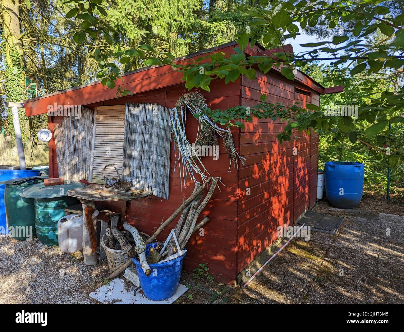 A wooden hut, plastic rain barrels, firewood, and trees in a garden ...