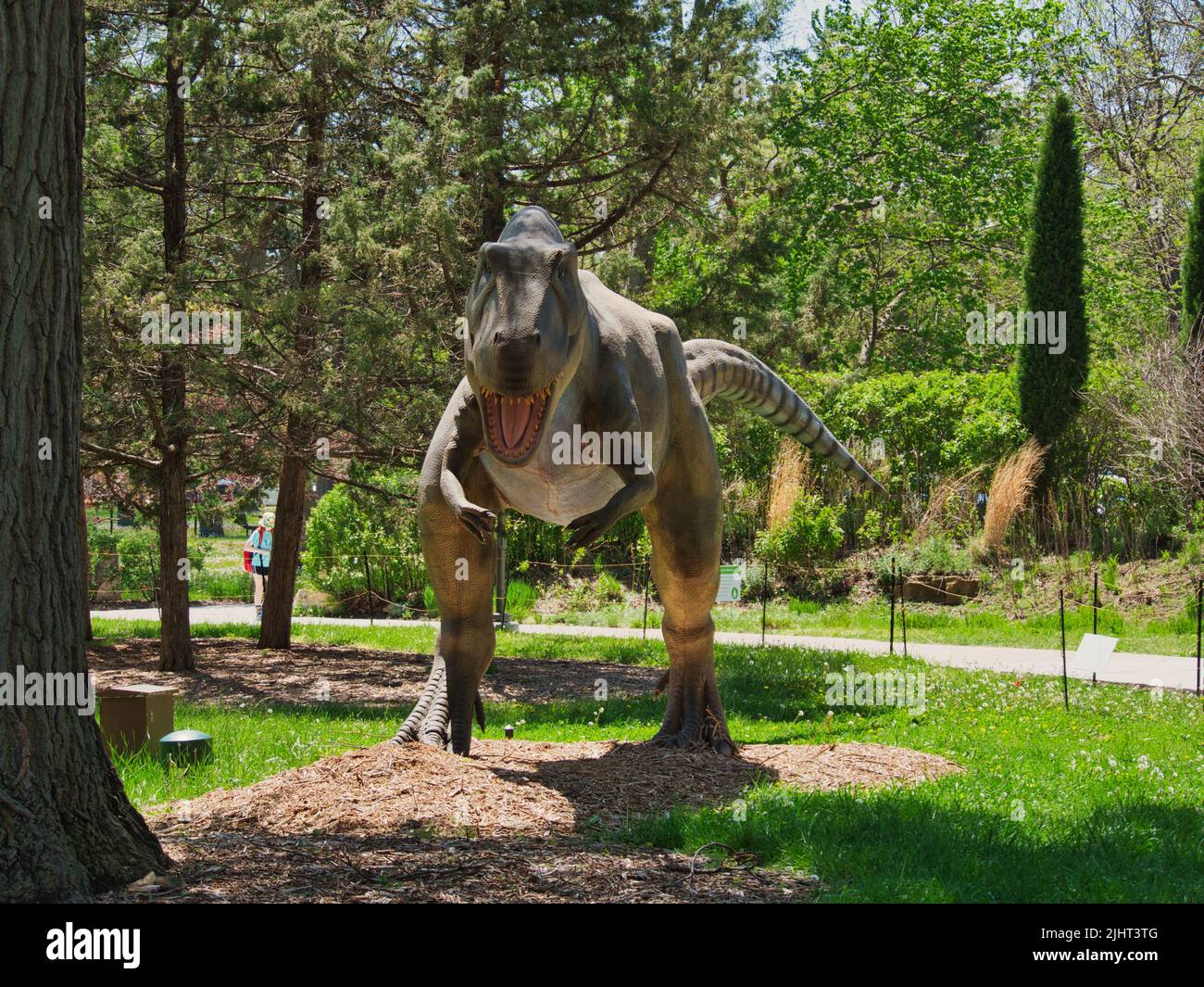 An outdoor Dinosaurs Alive exhibit at Topeka Zoo Conservation Center in ...