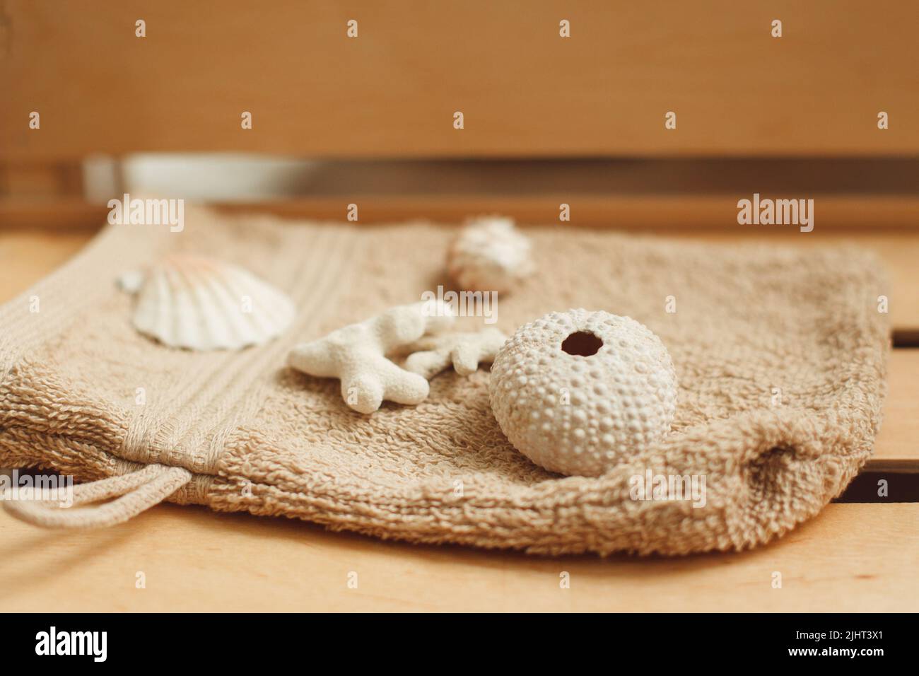 Attractive shells hi-res stock photography and images - Alamy