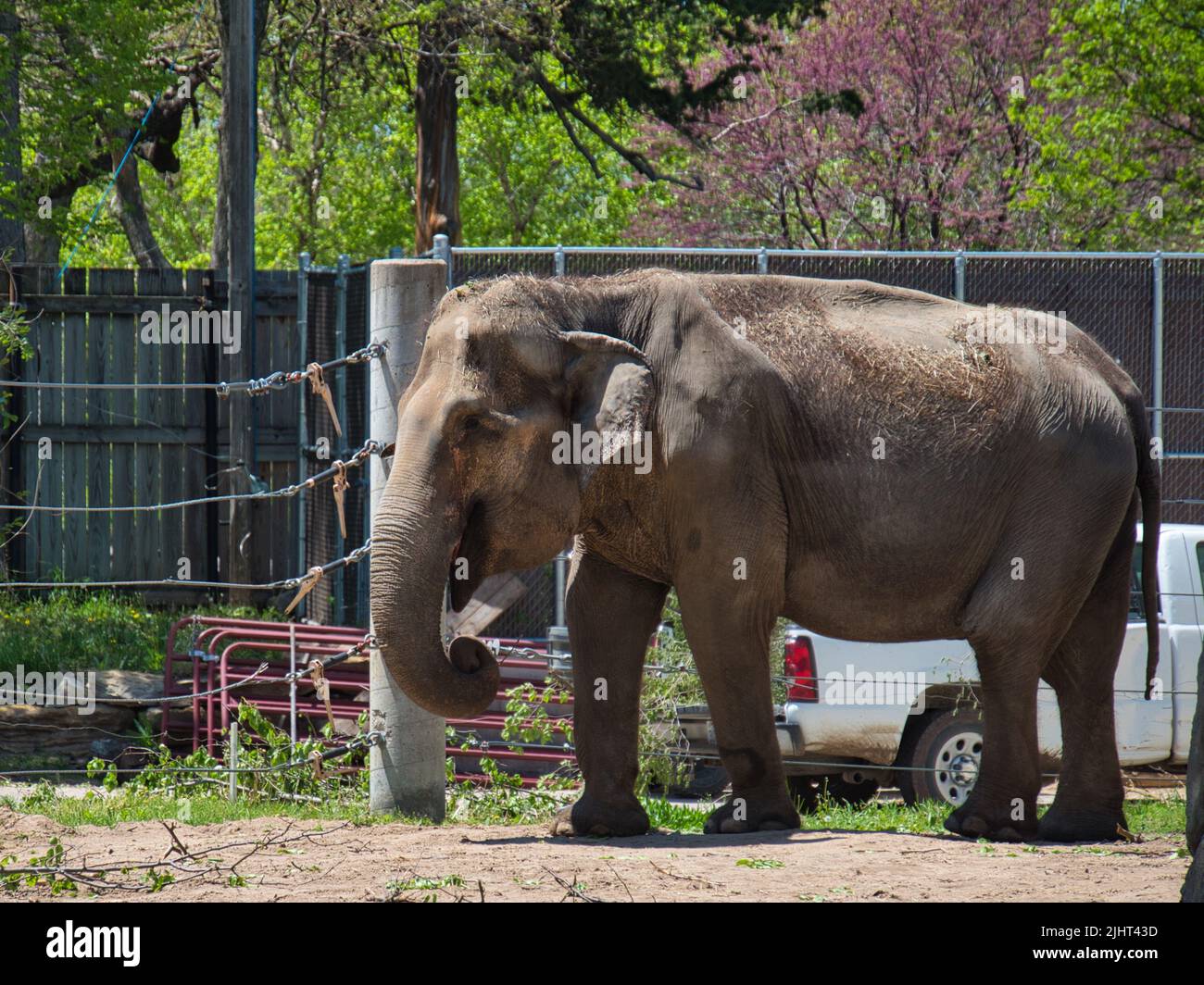 Topeka zoo hi-res stock photography and images - Alamy