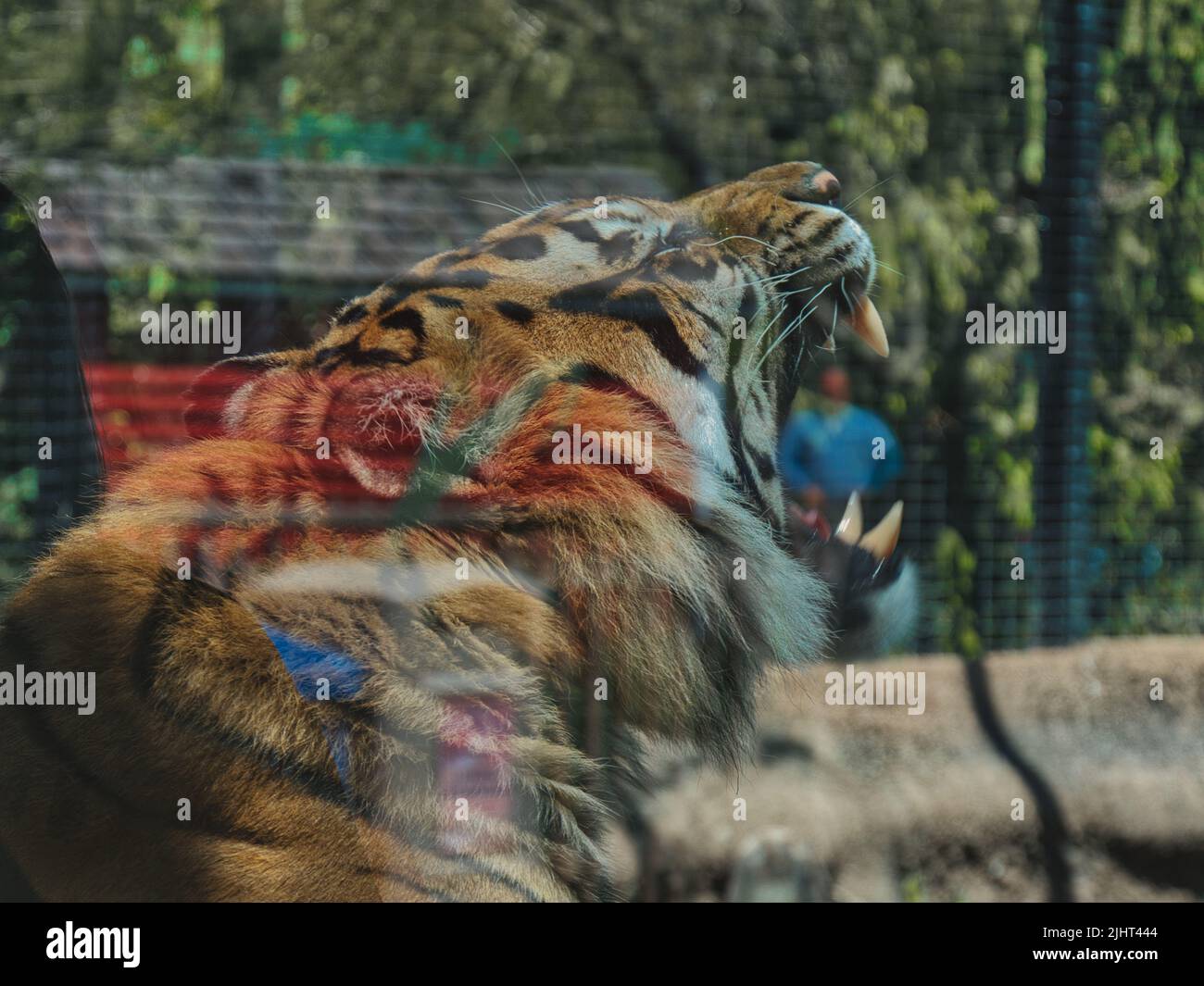 Topeka zoo hi-res stock photography and images - Alamy
