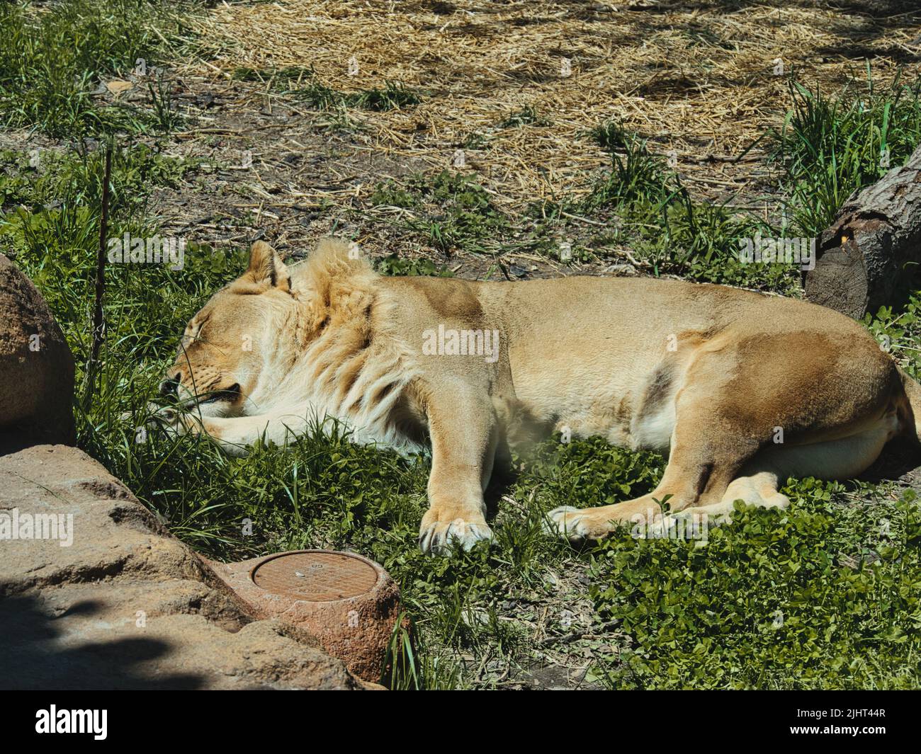 Topeka zoo hi-res stock photography and images - Alamy