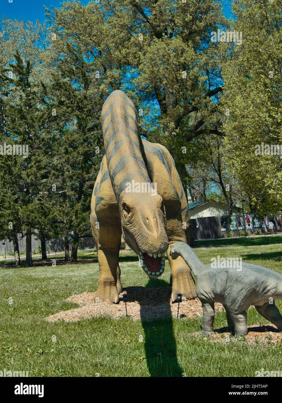A vertical shot of Allosaurus and Brontosaurus statues in the Topeka ...