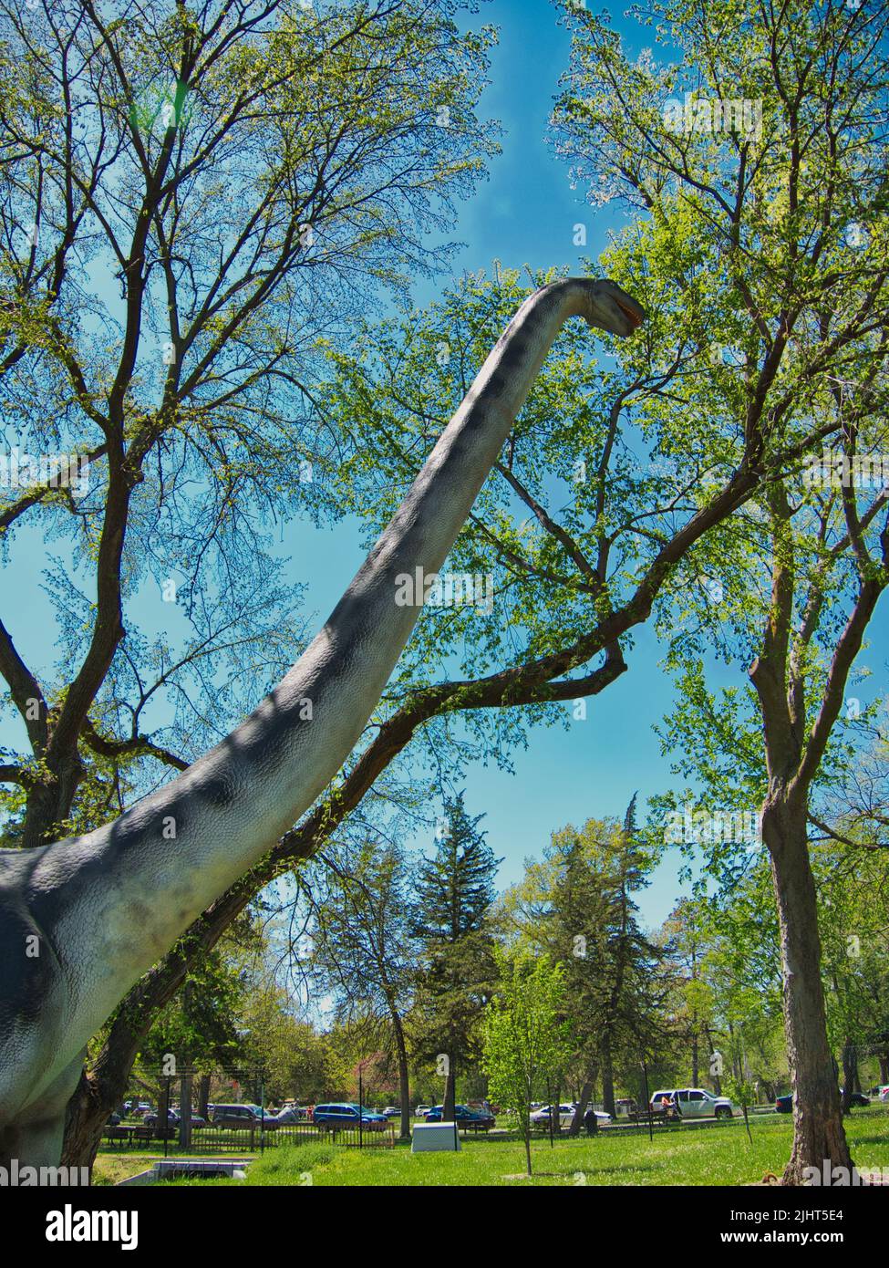 A vertical scenic view of realistic Brontosaurus statue in Topeka Zoo ...