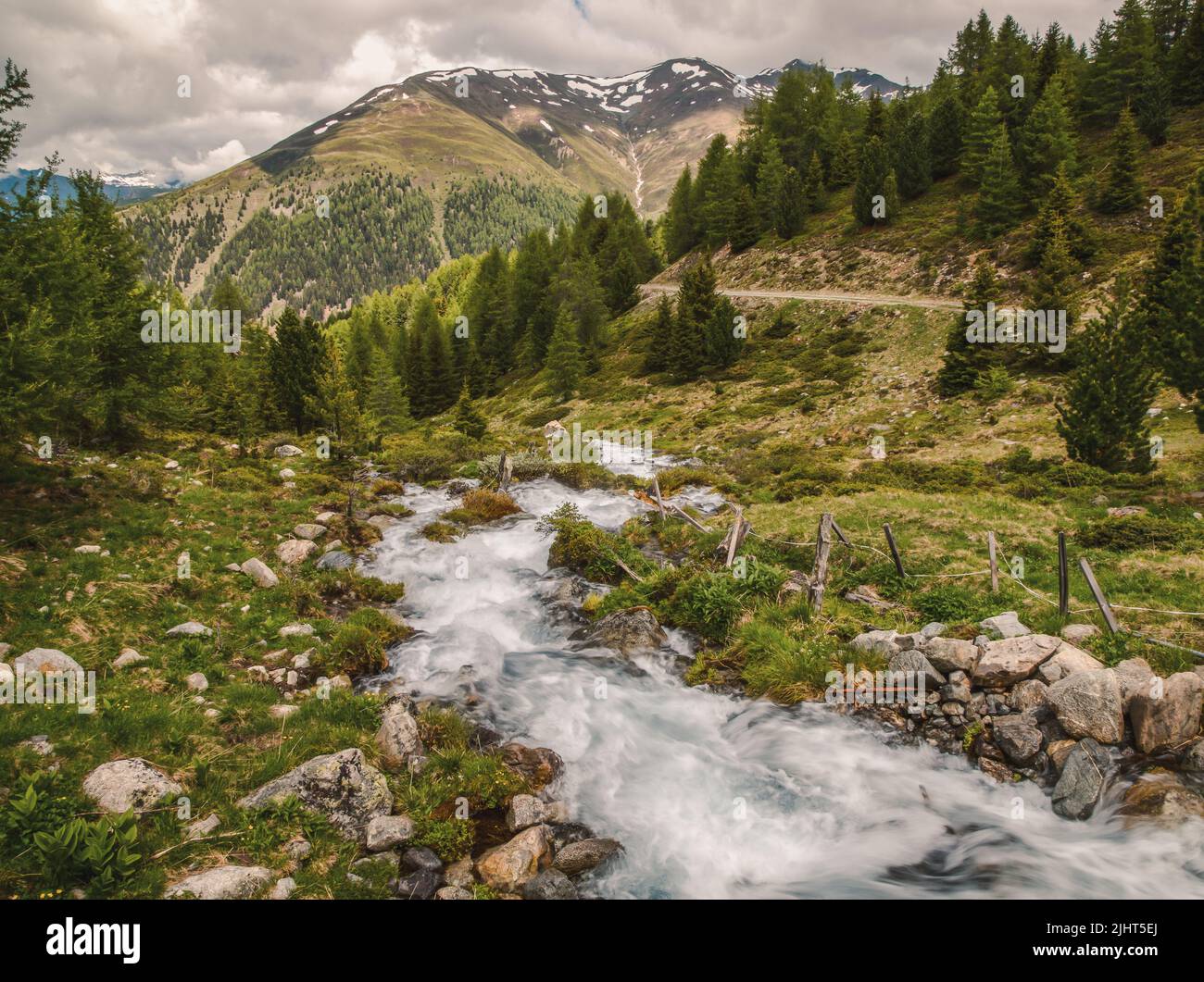 A breathtaking view of stream flowing through lush green vegetation in ...