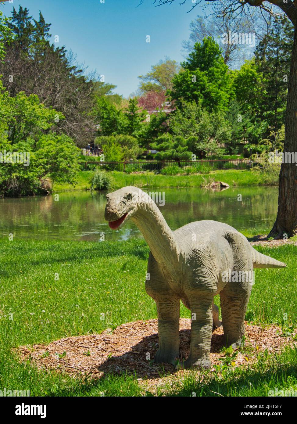 A vertical scenic view of realistic Brontosaurus statue in Topeka Zoo ...