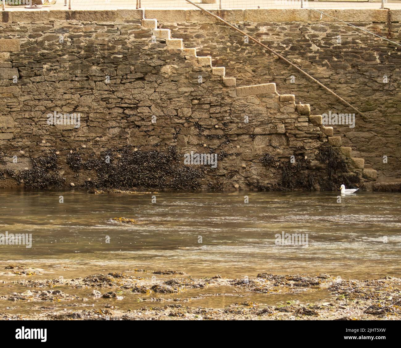 A traditional harbour stone steps down to Tidal river at low tide with ...