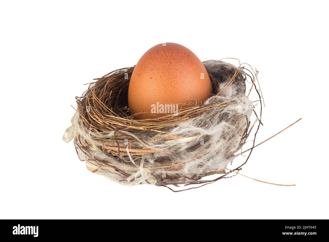 egg inside bird nest isolated on white background Stock Photo - Alamy