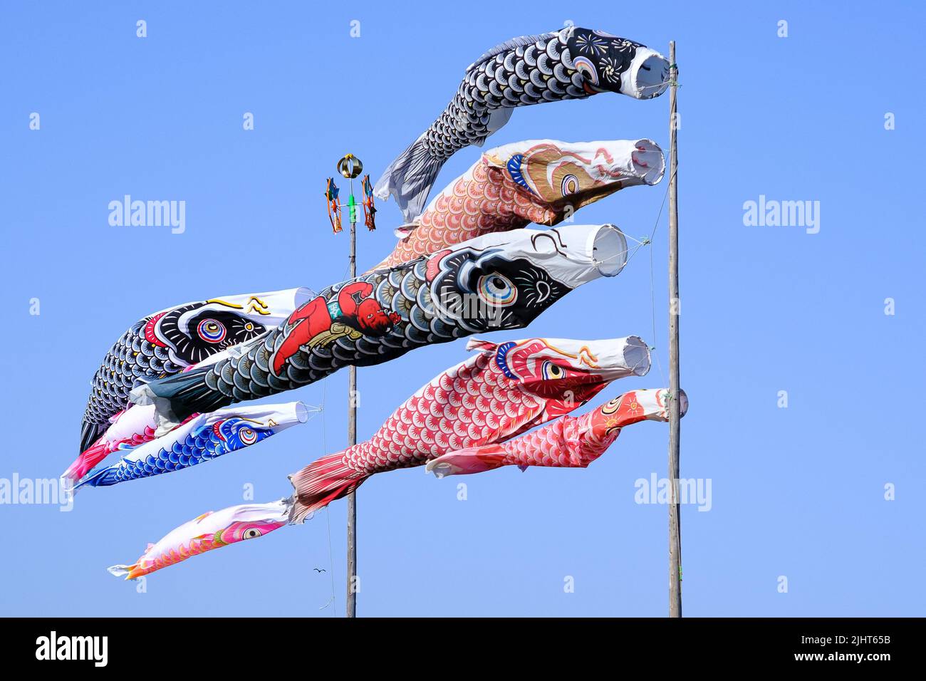 Colorful flying carp flags mark Children's day in Japan Stock Photo - Alamy