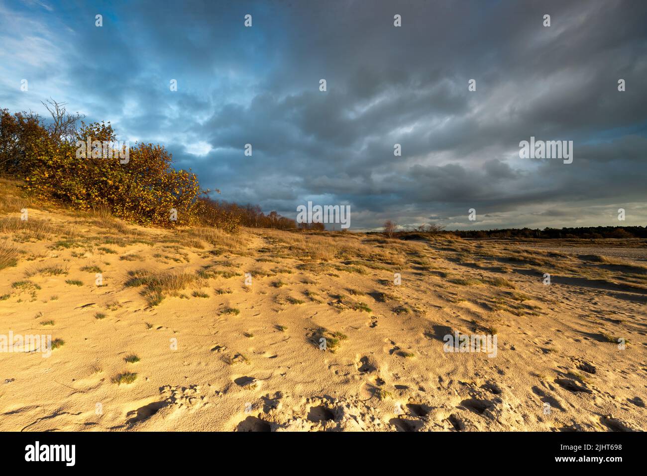 A deserted area in Loonse, the Netherlands Stock Photo - Alamy