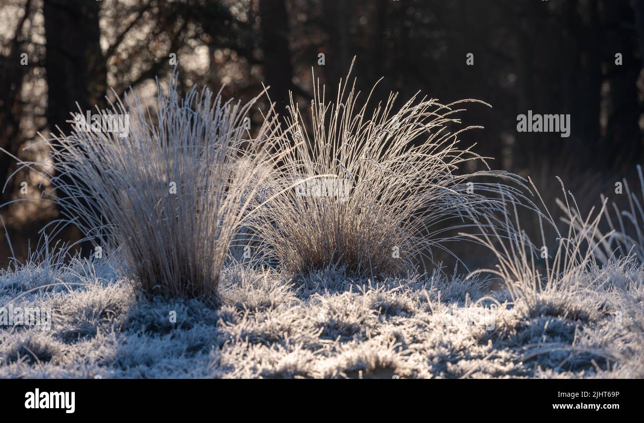 A deserted area in Loonse, the Netherlands Stock Photo - Alamy