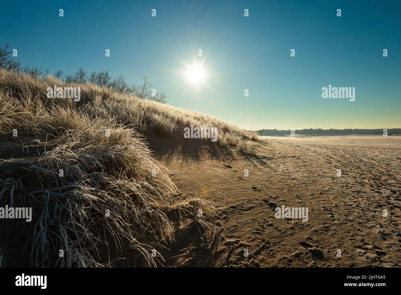 A deserted area in Loonse, the Netherlands Stock Photo - Alamy