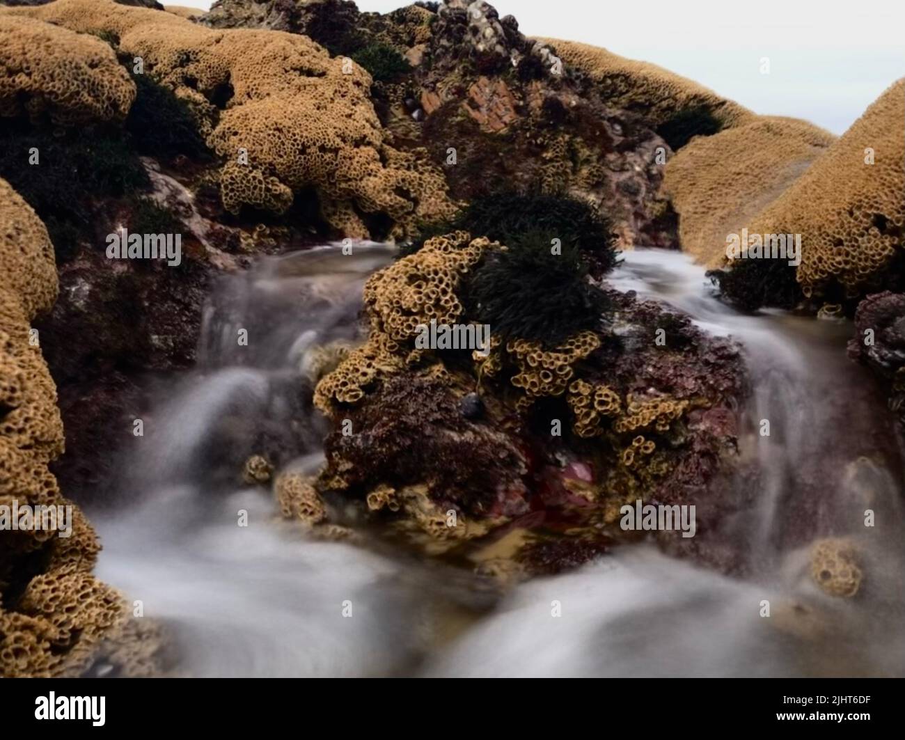 A waterfall over dry South African reef Stock Photo - Alamy