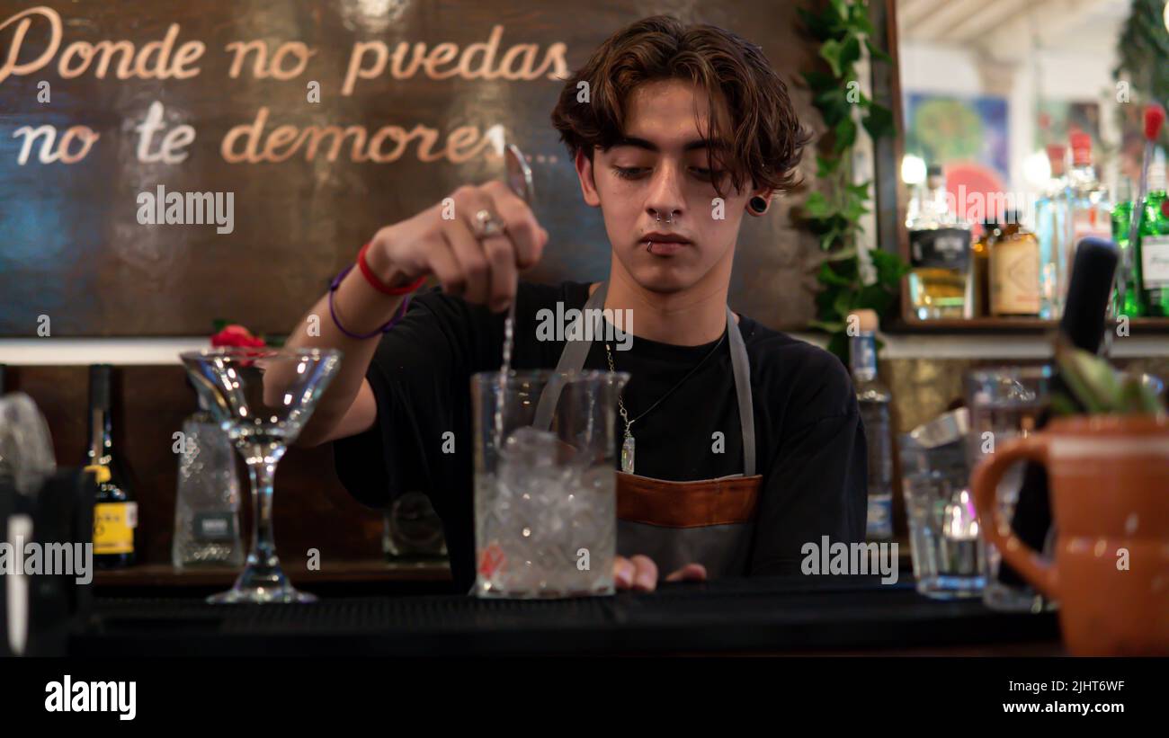 Bartender mixing a drink with ice at the bar counter. There are plants ...