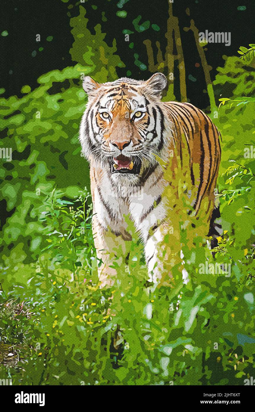 Old tiger prints hi-res stock photography and images - Alamy