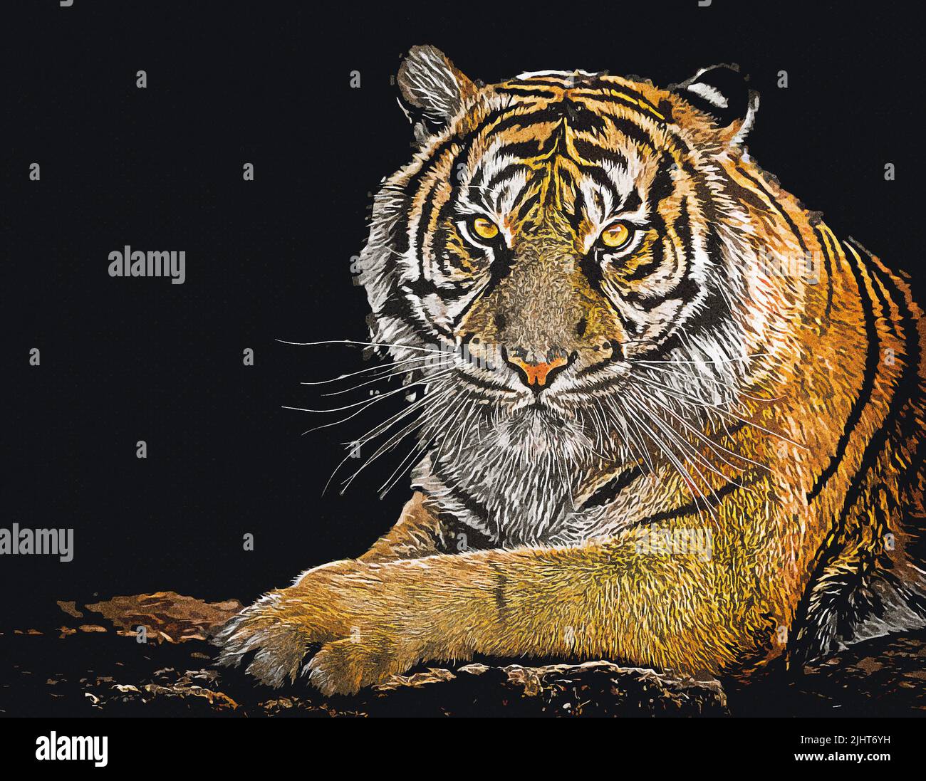 Old tiger prints hi-res stock photography and images - Alamy