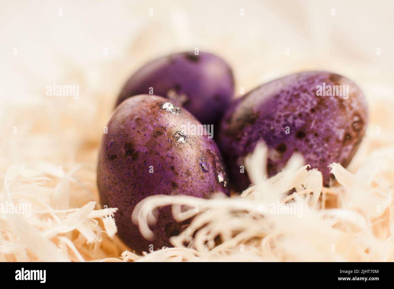 Purple easter hi-res stock photography and images - Alamy