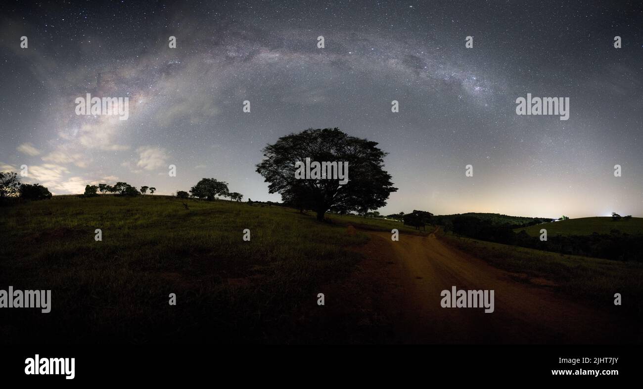 A path and a tree with a curved Milky Way in the night sky Stock Photo ...
