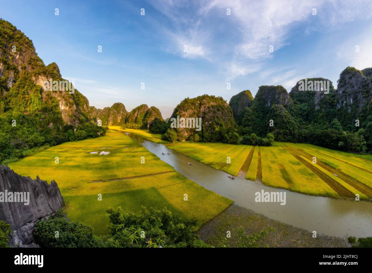 Yellow rice field on Ngo Dong river in Tam Coc Bich Dong from mountain ...