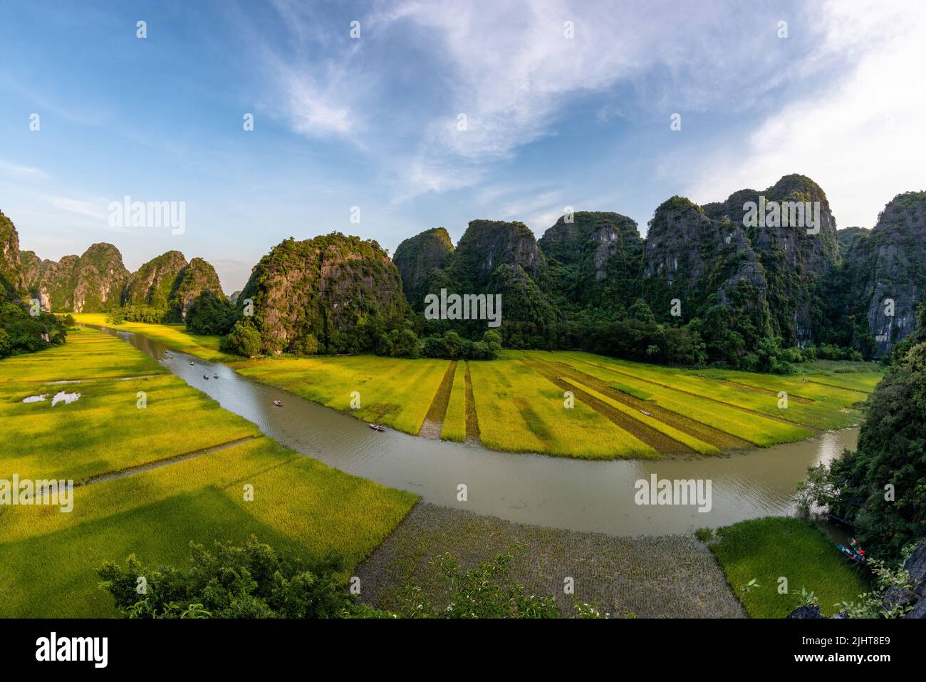 Yellow rice field on Ngo Dong river in Tam Coc Bich Dong from mountain ...