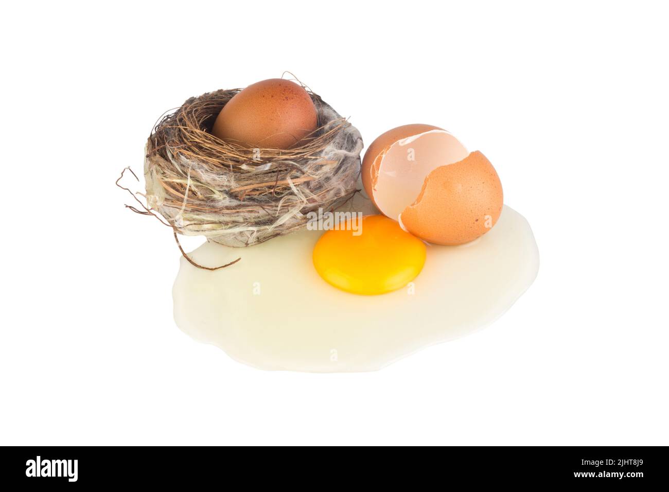 egg inside bird nest. egg broken isolated on white background Stock ...