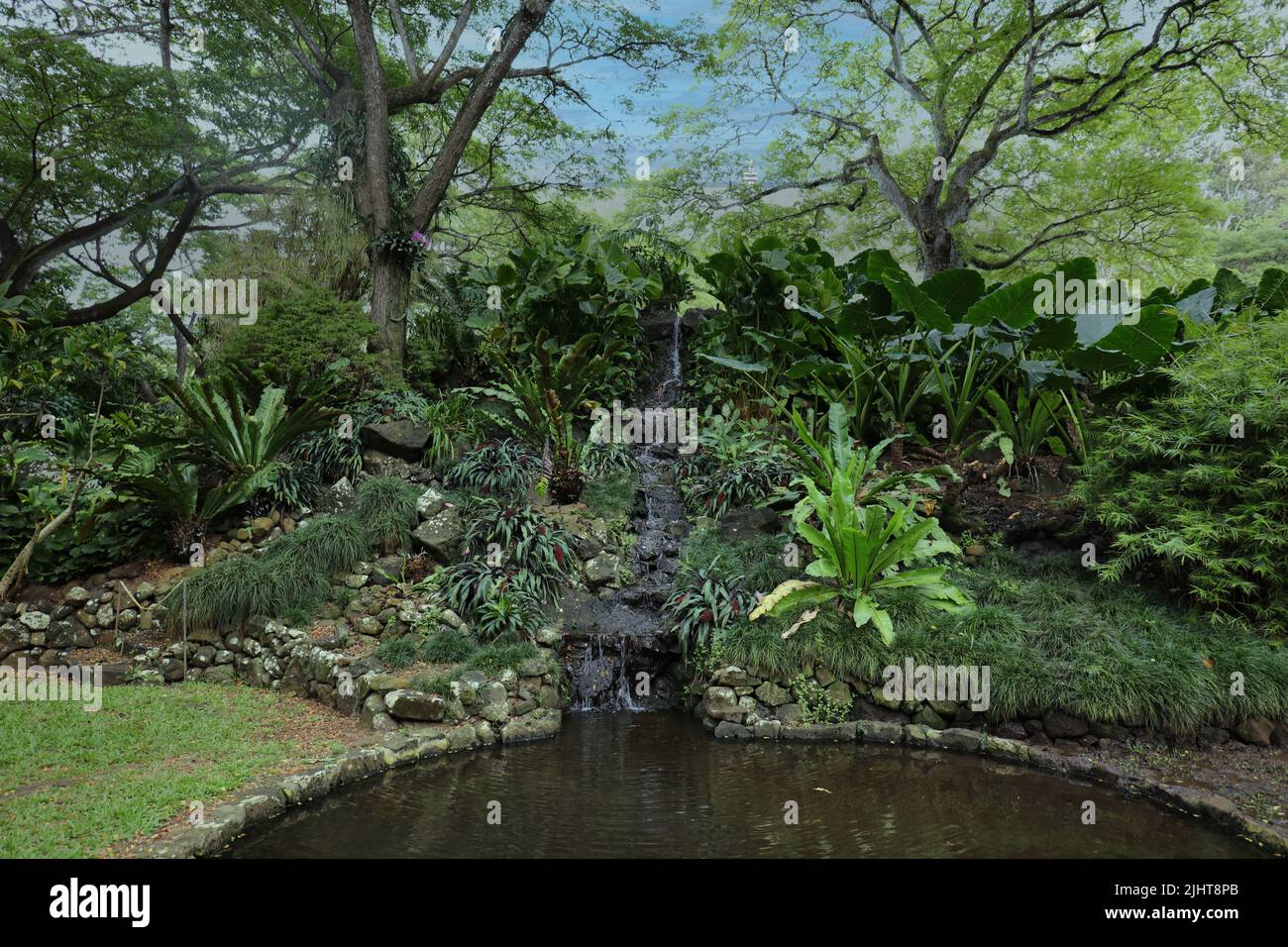 A man made waterfall down a small hillside, lined by tropical plantsand ...