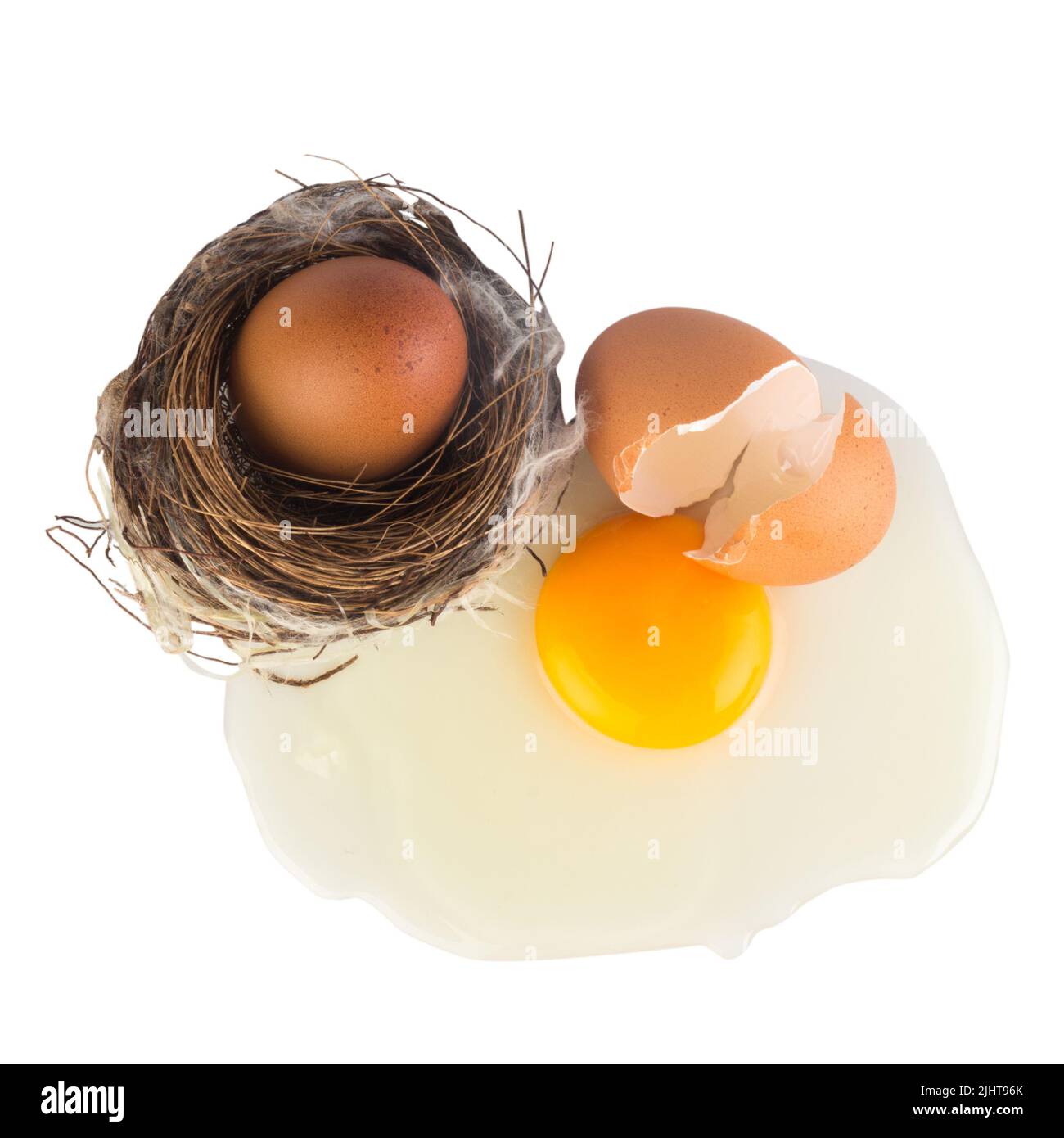 egg inside bird nest. egg broken isolated on white background Stock ...