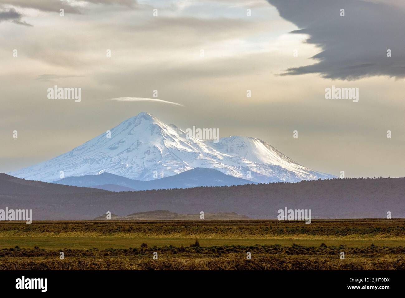 A scenic view of an evergreen field with the beautiful Mount Shasta in ...
