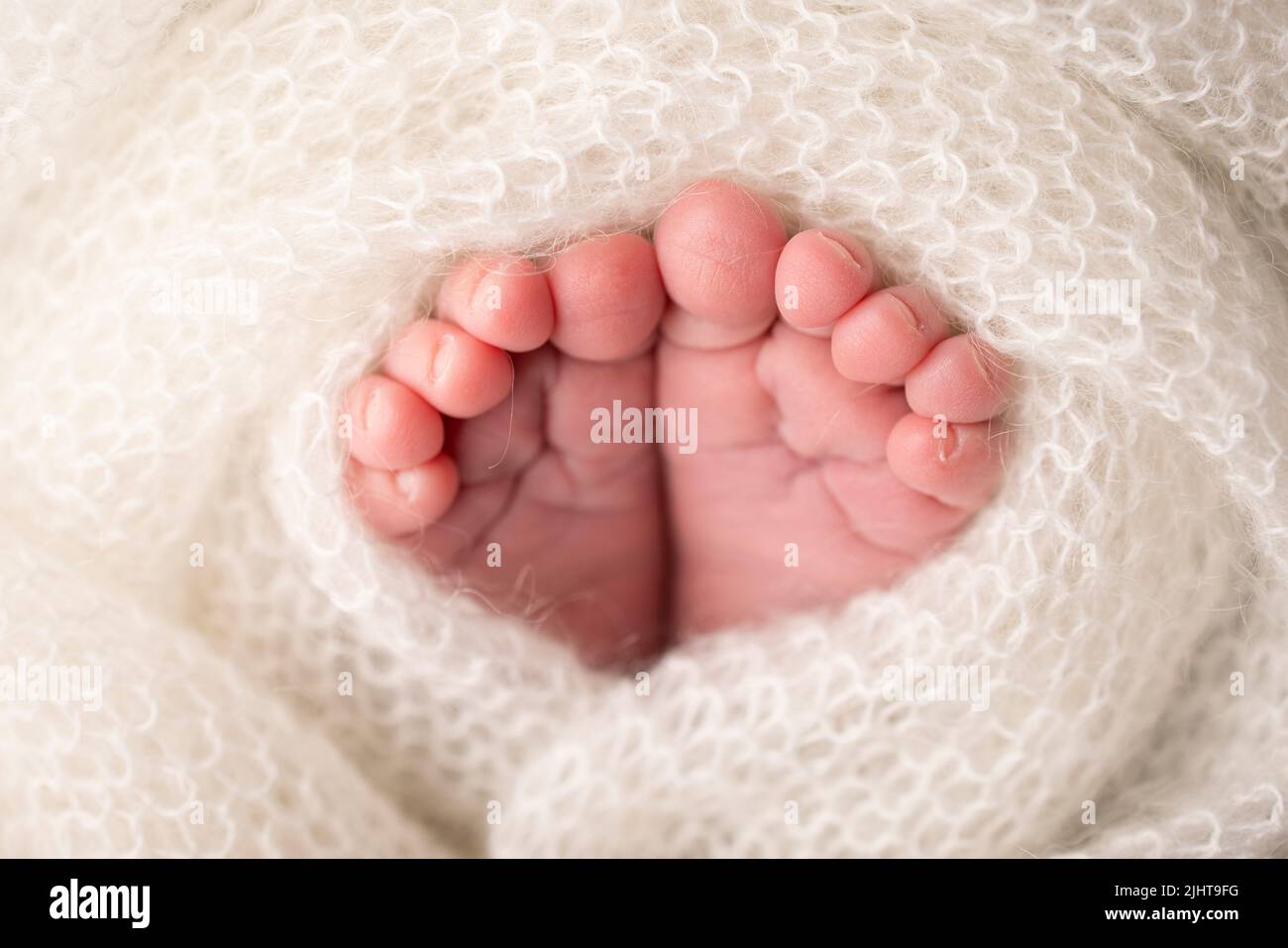 Close-up of toes, heels and feet of a newborn baby. The tiny foot of a ...