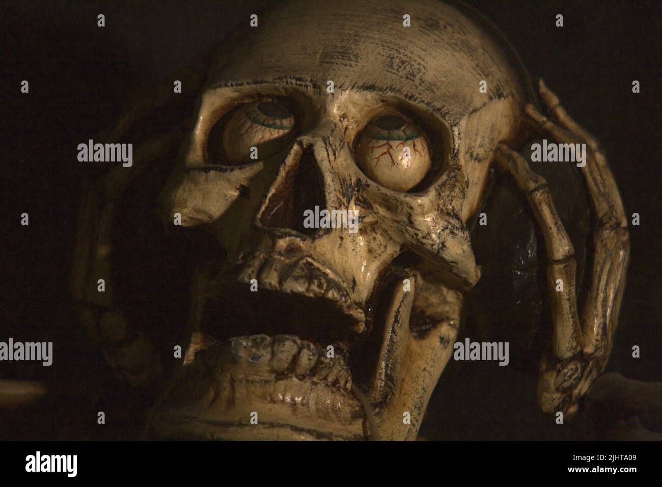 The close-up shot of the human skull decorative statuette Stock Photo ...