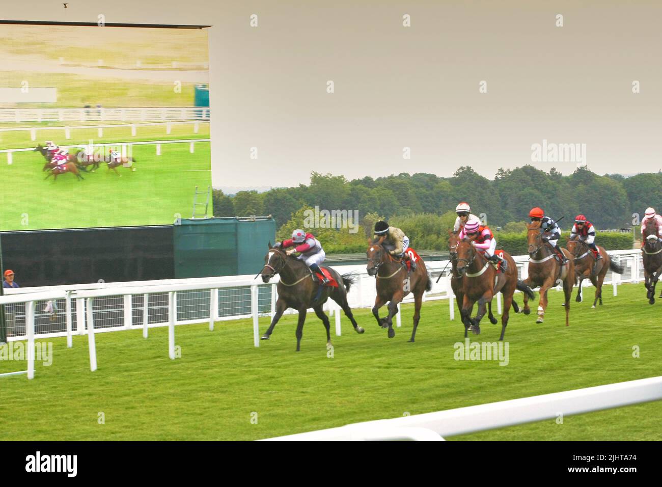 Sandown Park, Esher, Surrey, UK. 20th July, 2022. Pledge of Honour with ...