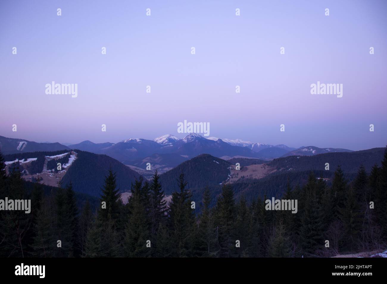 A spruce forest and a beautiful wooded mountains ranges Stock Photo - Alamy