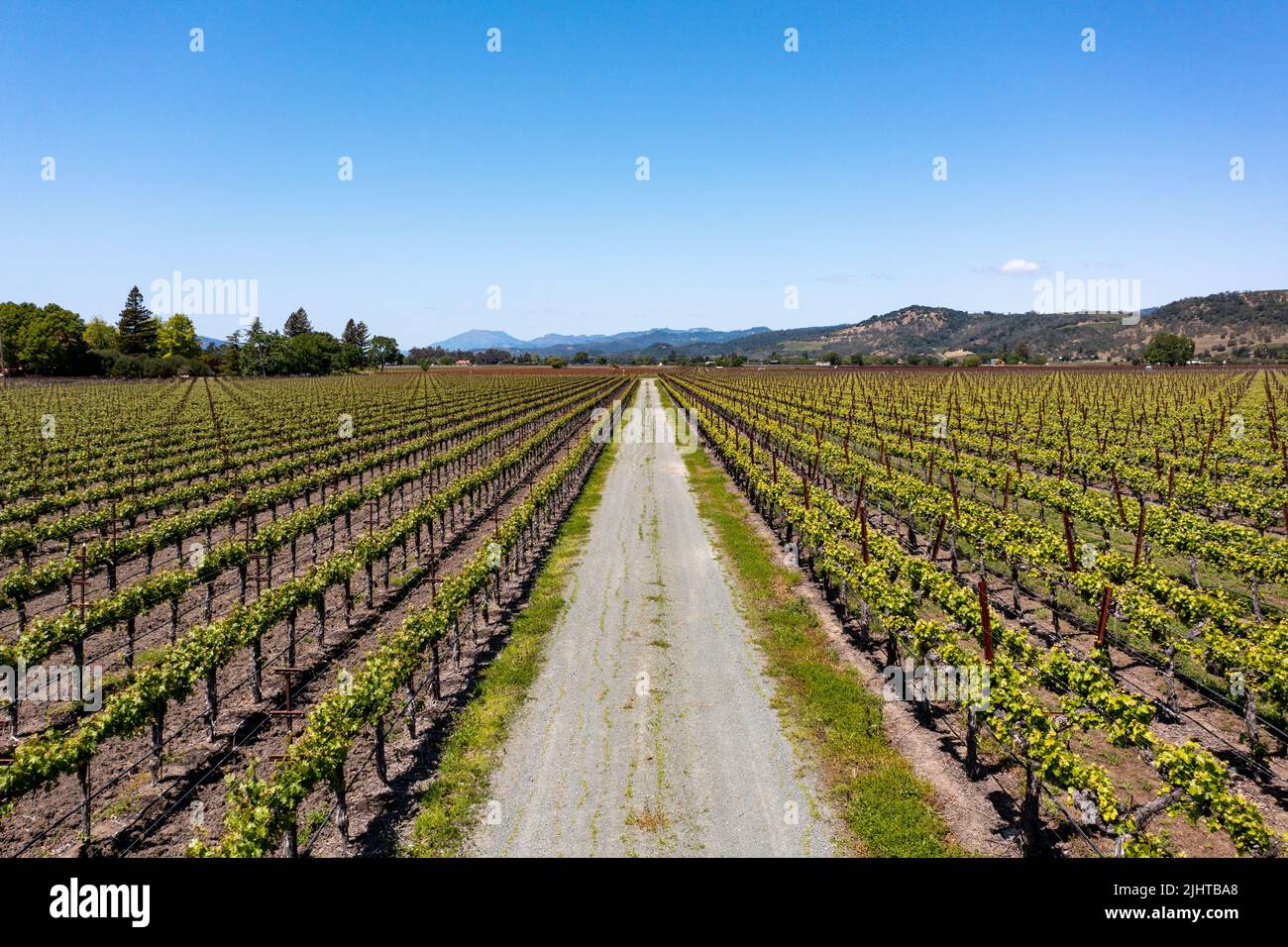 The high-angle view of the path splitting the agricultural fields on a ...