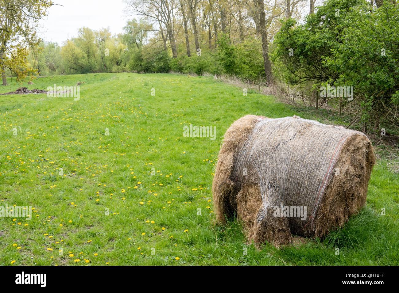A big hay bale in a green field Stock Photo - Alamy