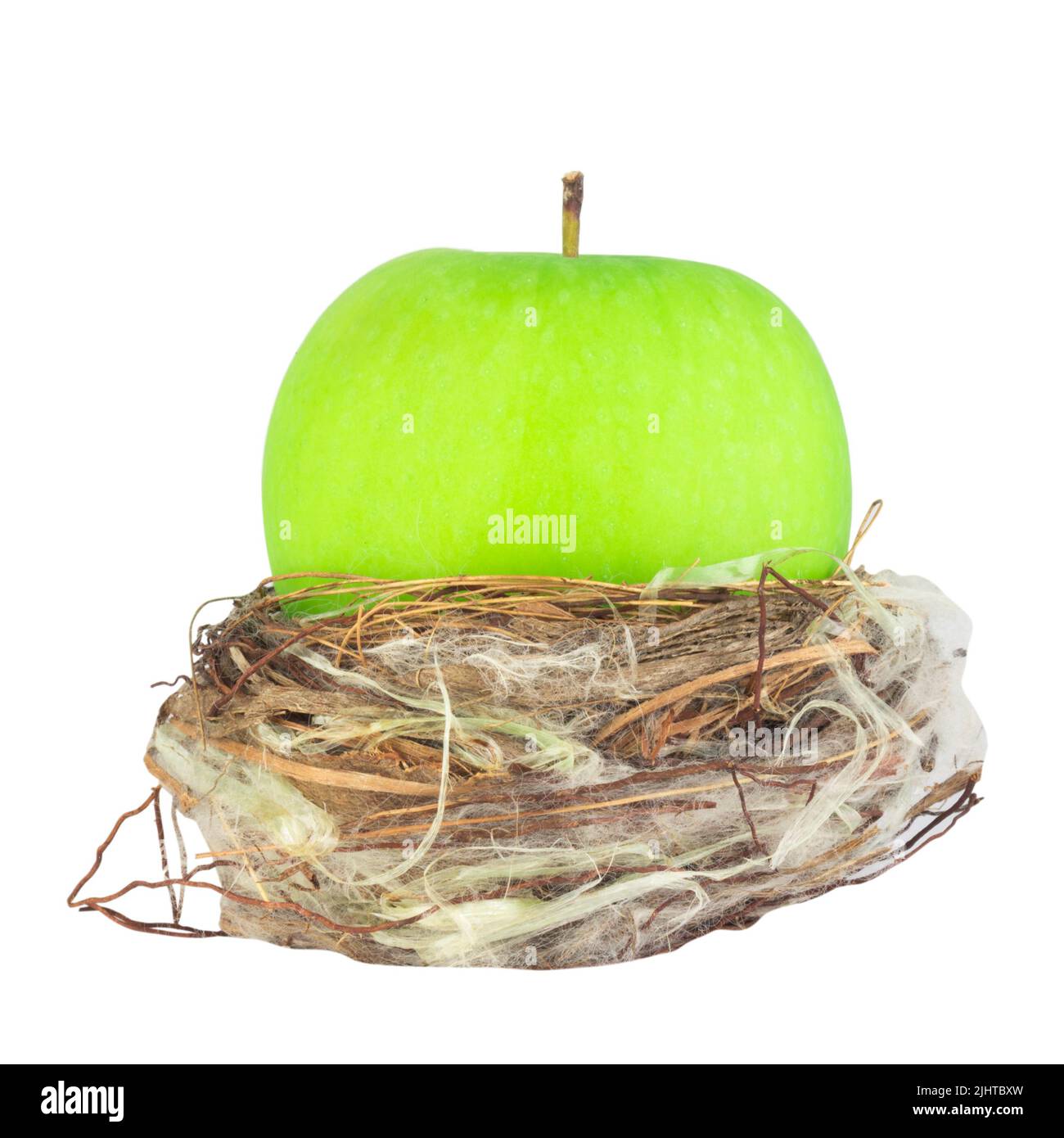 apple green inside bird nest isolated on white background Stock Photo ...