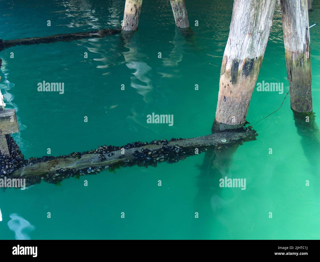 Poles providing support under pier make pattern and disappear into ...