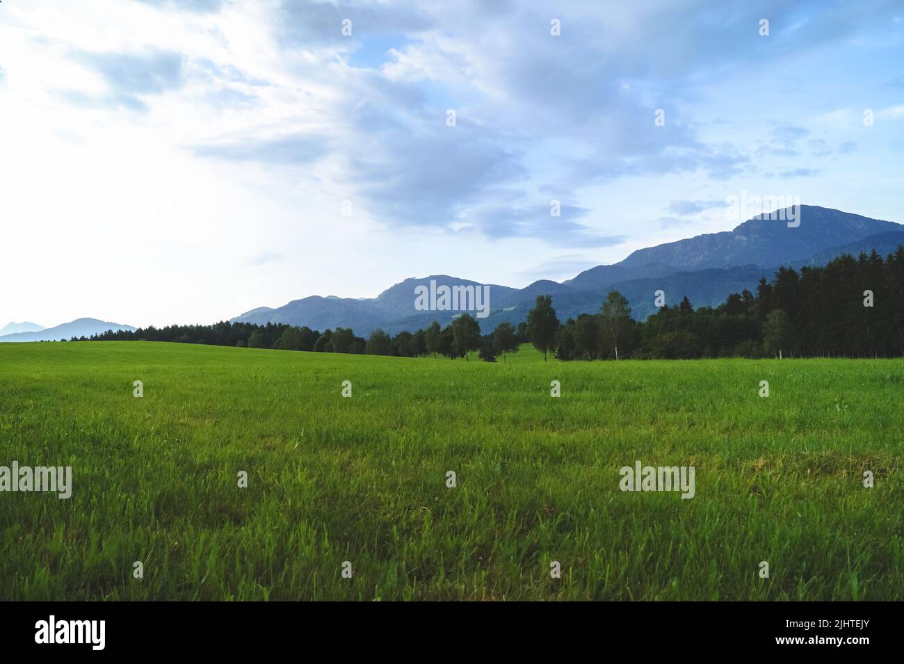 Meadows near the Alps against the backdrop of unusually beautiful ...