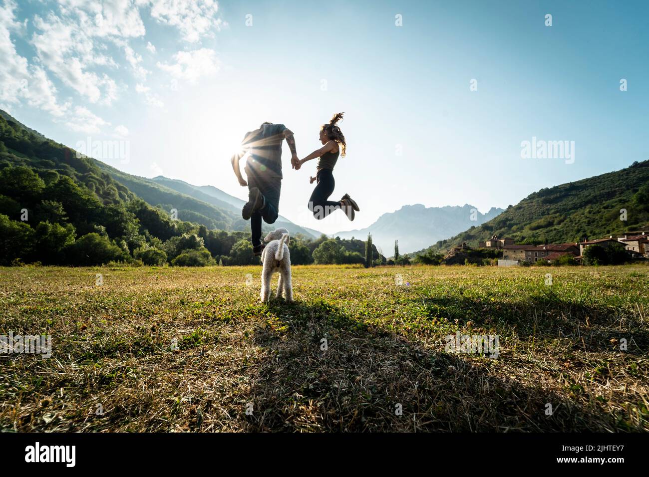 Couple dog jumping at woman hi-res stock photography and images - Alamy