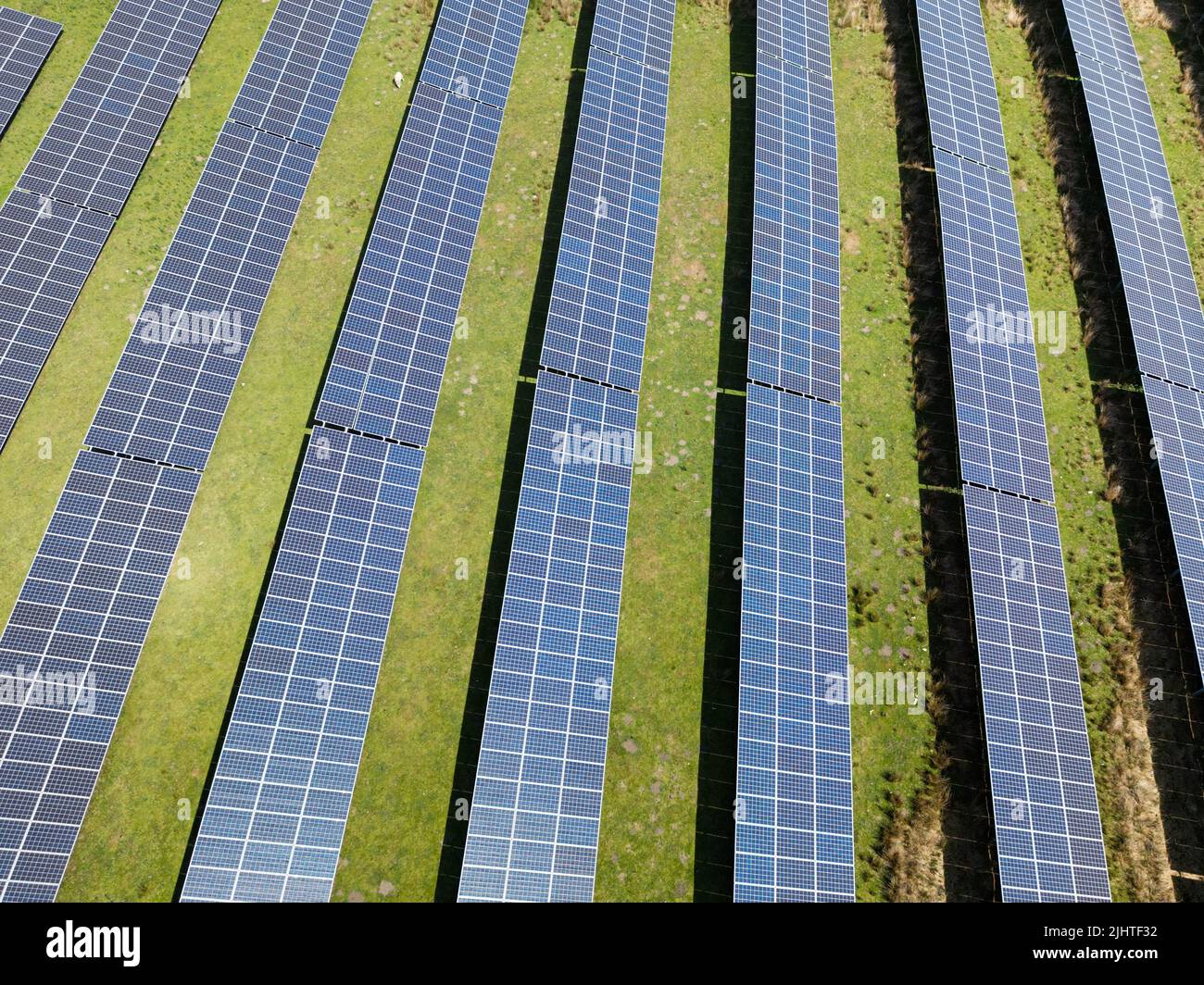 Aerial view of rows of solar panels instaked in a farm field. No people ...