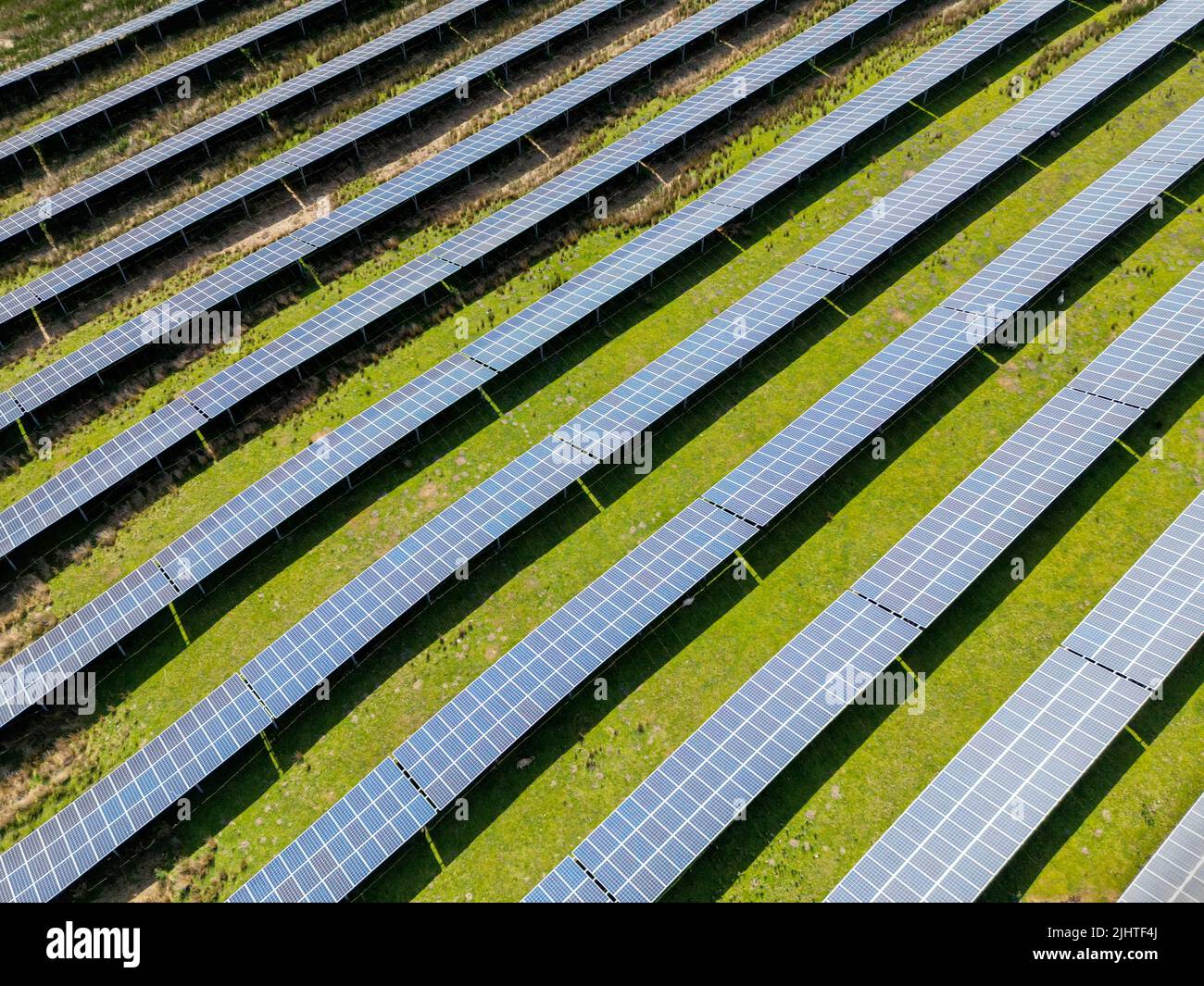 Aerial view of rows of solar panels instaked in a farm field. No people ...
