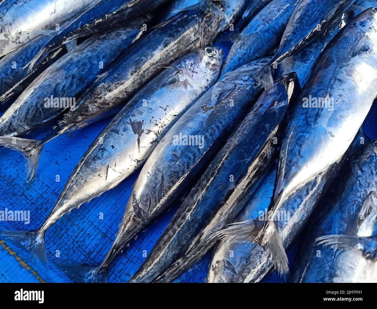 Fish market black and white hi-res stock photography and images - Alamy